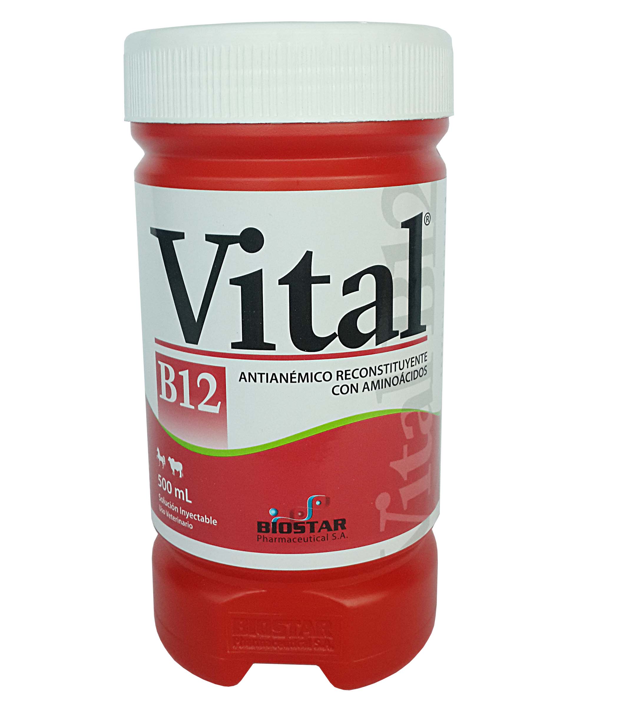 Vital B12 – Importaciones Universo